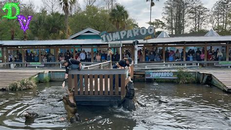 Gator Jumparoo Show Gatorland Orlando 2026 Youtube
