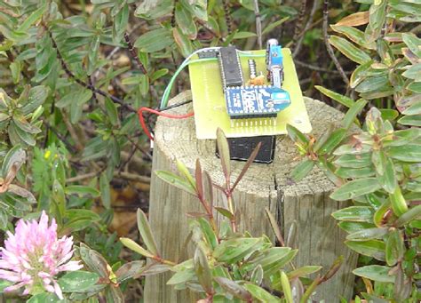 Figure 3 From Vegetation Growth Detection Using Wireless Sensor Networks Semantic Scholar