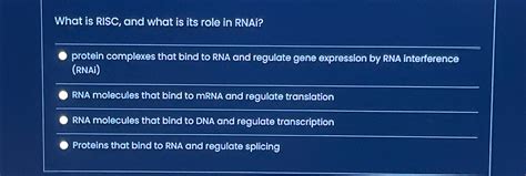 Solved What Is Risc And What Is Its Role In Rnaiprotein