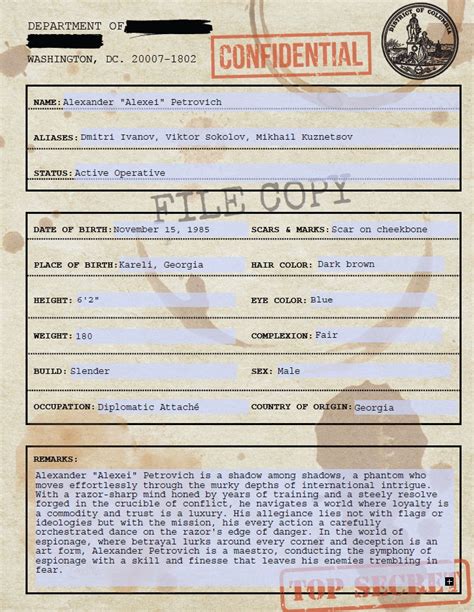 Editable Spy Dossier Pdf Template Customizable Mission Brief Digital