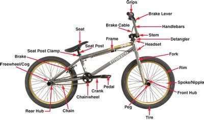 Exploring The Intricate Anatomy Of Diamondback Bike Components