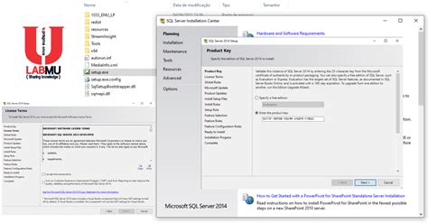 Labmu Downloads Sql Server