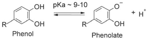 Oxidation Of Phenol