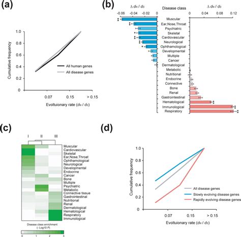 Evolutionary Divergence Among Disease Genes In Various Disease Classes Download Scientific