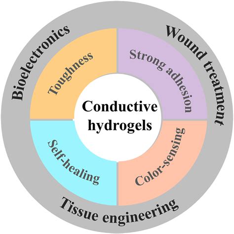 Developing Conductive Hydrogels For Biomedical Applications Wang Smart Medicine Wiley