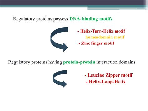 Transcriptional And Post Transcriptional Regulation Of Gene Expression
