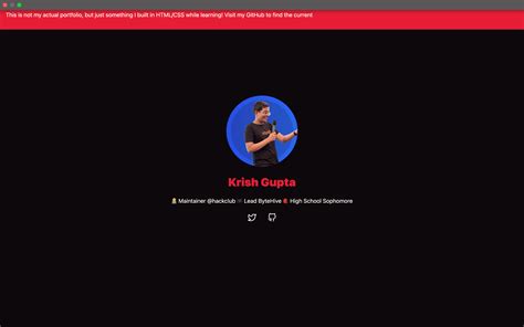 Basic Portfolio Devpost