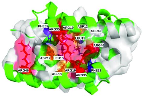 Illustration Of The Common Binding Site Of The Different Subtypes Download Scientific Diagram
