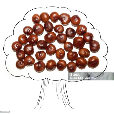 말 밤 귀여운 낙서 손으로 그린 요소와 흰색 배경에 고립 추상 만화 나무입니다 최고의 볼 수 있습니다 창의적인 현대 구성입니다 0명에 대한 스톡 사진 및 기타 이미지