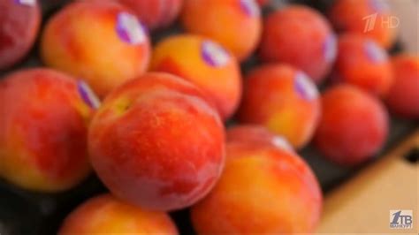 Годится для перекуса малокалорийный фрукт персик