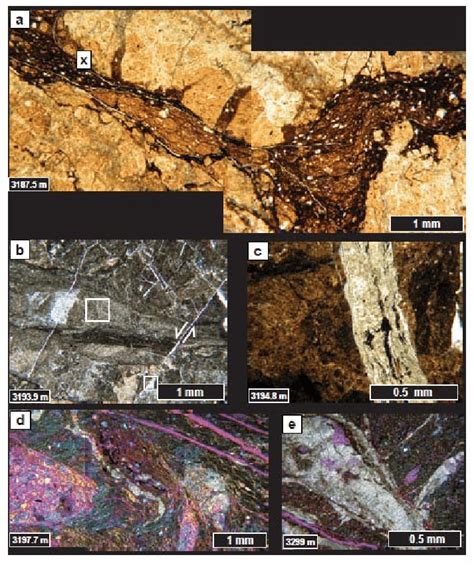 Textures Of Deformed Rocks Viewed In Thin Section A Brecciated