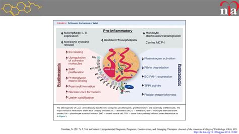 2021 Ccs Guidelines For Management Of Dyslipidemia A Simplified