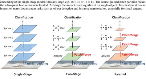 Comparison Of Different Hierarchical Models After Patch Embedding The