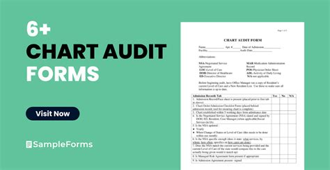 FREE 6 Chart Audit Forms In PDF Excel