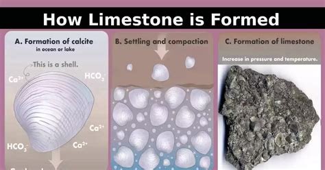 How Limestone Is Formed Where Does It Form Geology In
