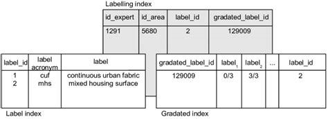 Schema Of The Labelling Database Download Scientific Diagram
