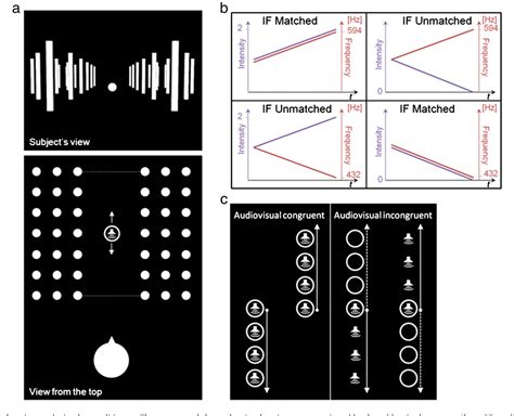 Figure 1 From Audio Visual Interactions For Motion Perception In Depth Modulate Activity In