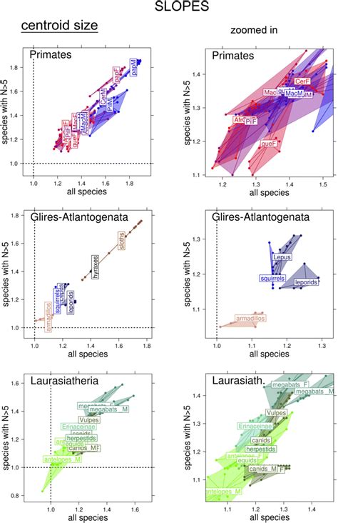 Slopes For Centroid Size Scatterplots Of Slopes Using Different Branch