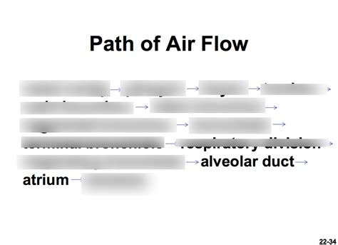 Path Of Air Flow Diagram Quizlet