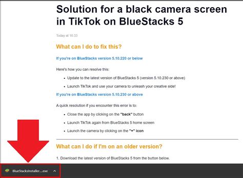 블루스택 5의 틱톡에서 검은색 카메라 화면에 대한 솔루션 블루스택 고객지원