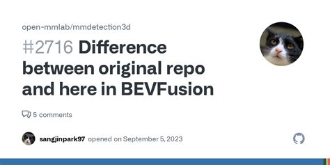 difference between original repo and here in bevfusion · issue 2716