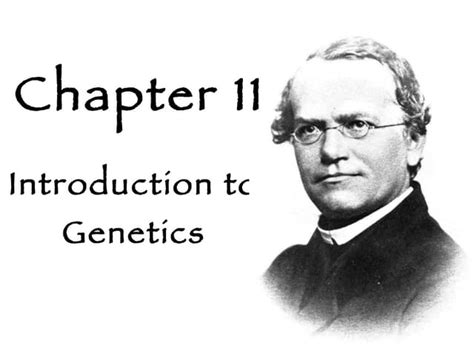 Introduction To Genetics Pptx