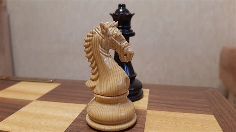 Шахматы Умный конь ловит глупого ферзя Лучшая ловушка Youtube