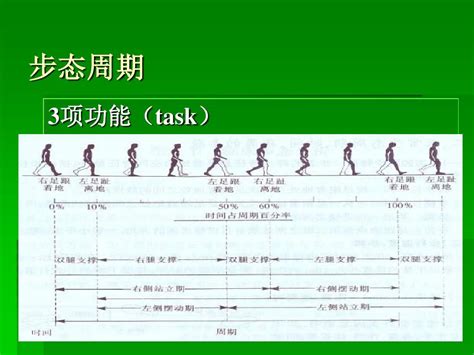 步态分析最新ppt课件 Word文档在线阅读与下载 无忧文档