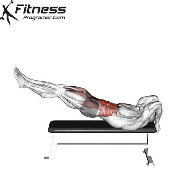 101 Calisthenics Exercises Boost Your Fitness Level