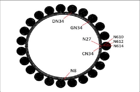 Chosen Nodes Distribution Download Scientific Diagram