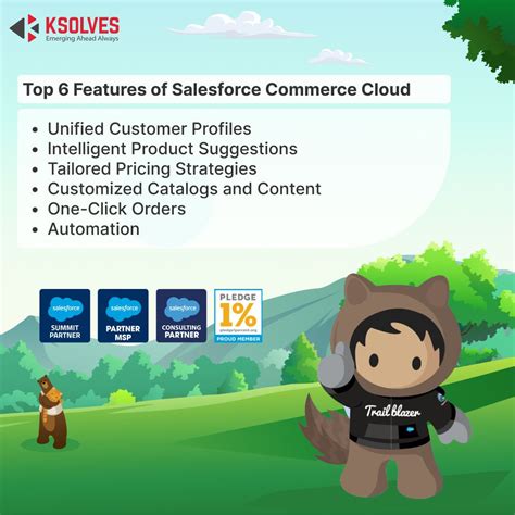 Mohd Asad Khan On Linkedin Salesforcecommercecloud Futureofretail Salesforce Sales Crm…