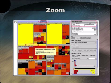 Ppt Visualization And Analysis Of Microarray And Gene Ontology Data With Treemaps Powerpoint