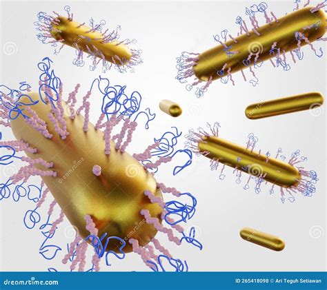 Polymeric Nanoparticles Nps Are Nanoparticles Can Be Loaded With
