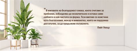 Вел Великотърновски университет „Св св Кирил и Методий“