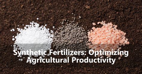 Synthetic Fertilizers Optimizing Agricultural Productivity Agnote