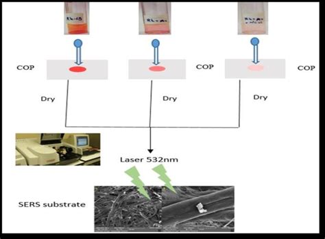 Schematic Representation Detection By Paperbased Sers Substrates