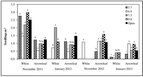 Seedling Counts For Arrowleaf Trifolium Vesiculosum Savi And White Download Scientific
