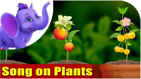 Song On Plants Five Main Parts Of A Plant In Ultra Hd 4k Youtube