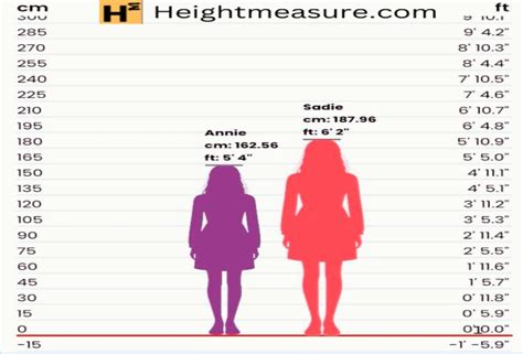 The Ultimate Height Comparison Conversion Guide