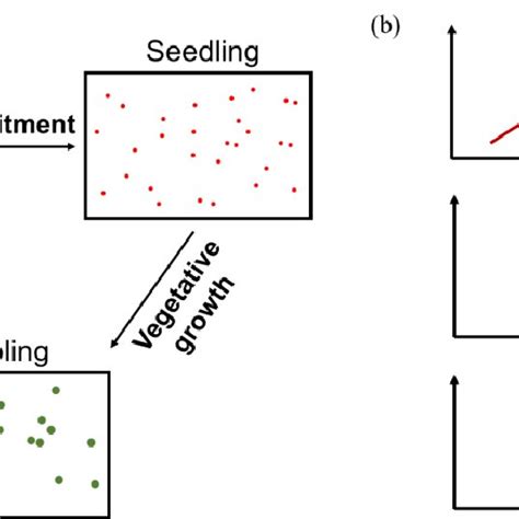 2 Illustration Of How Population Processes Might Influence Ontogenetic