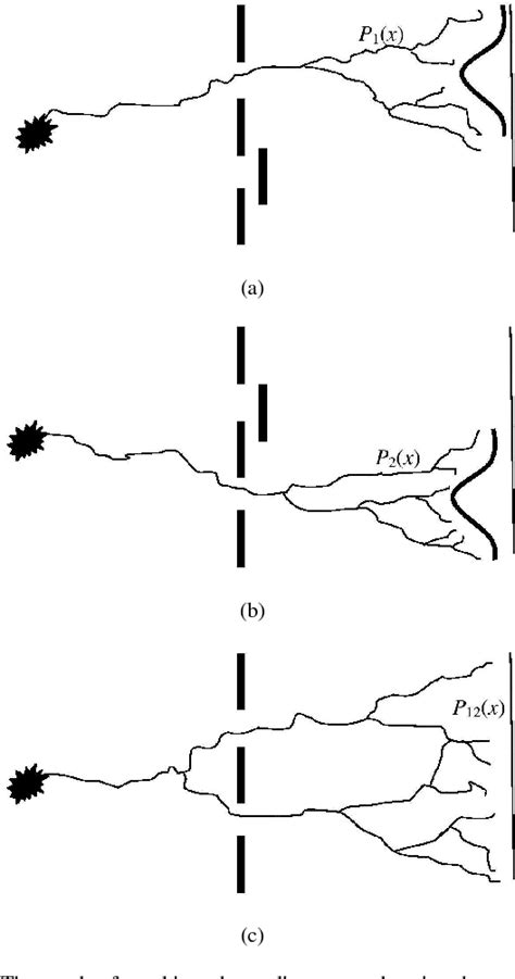 figure 1 from p adic valued fuzzyness and experiments with physarum