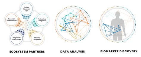 Decode Health Biomarker Discovery Platform Advances Findings In Ms And Nmo Decode Health