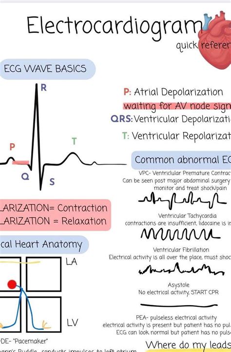 Ecg Quick Reference Sheet Etsy Uk