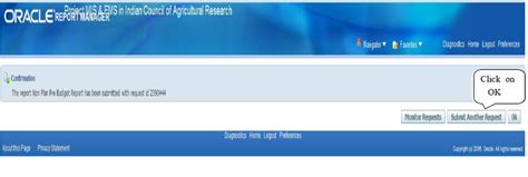 Running Other Plan Reports Oracle EBS Reporting