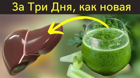 Очистите ПЕЧЕНЬ всего за ТРИ Дня (самый лучший детокс) - YouTube