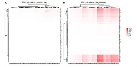 Rbps And Micrornas That Have Overlapping Or Neighboring Binding