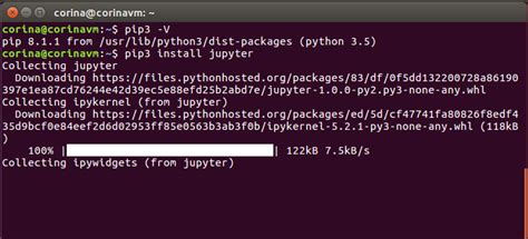 VMware中ubuntu 的 jupyter notebook安装与初次使用 小白的学习笔记