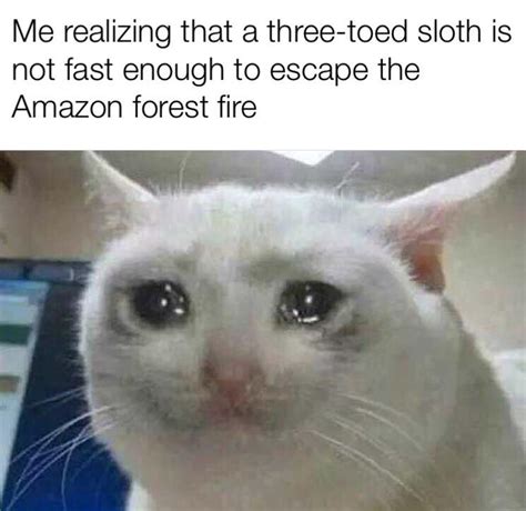 “save The Turtles” R Dankmemes