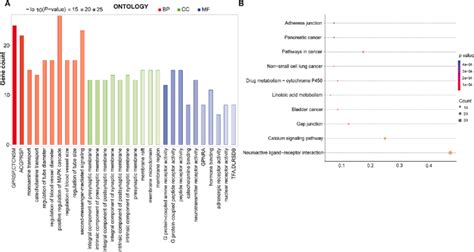 Enrichment Analyses Of Key Targets Of Cm Go Enrichment Analysis Of