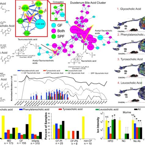 a structures molecular network 3d molecular cartography and